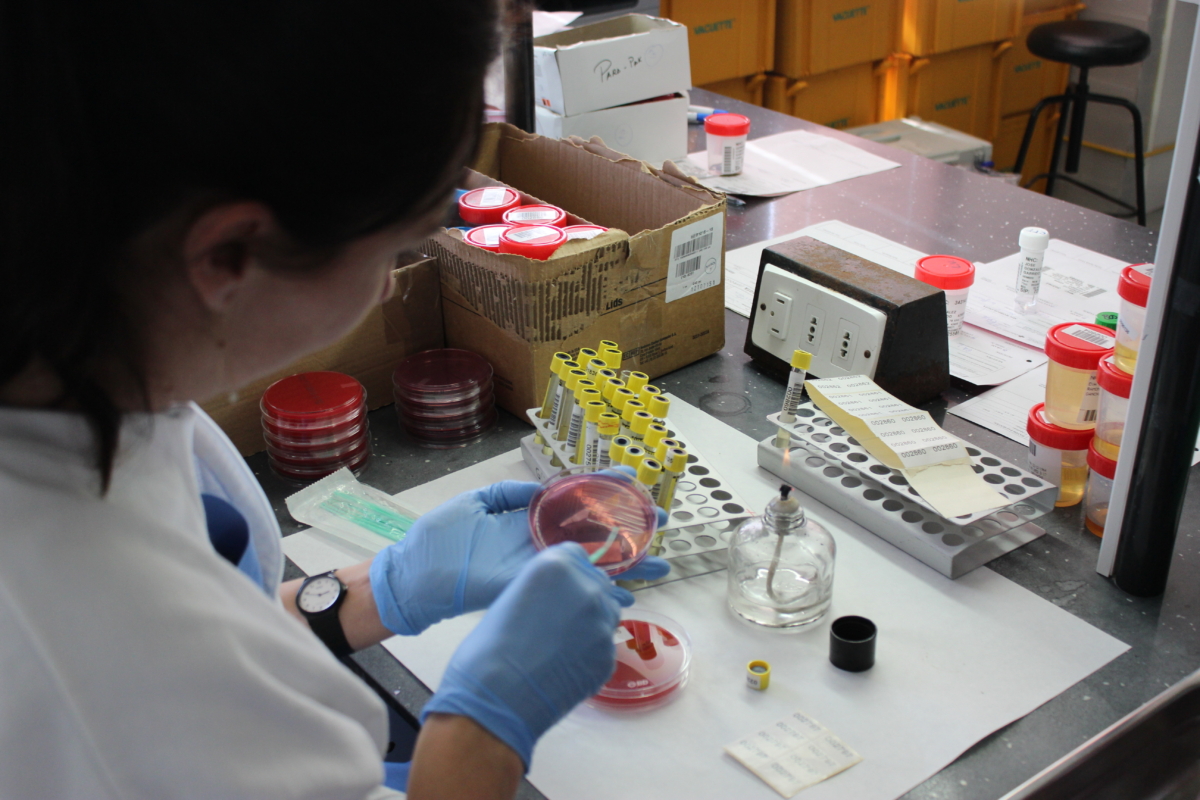 Microbiología | Departamento de Salud Alicante - Sant Joan D'Alacant